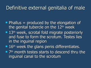 823952 pelvis | PPT