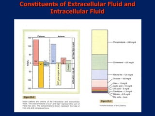 823963 body-fluids | PPT