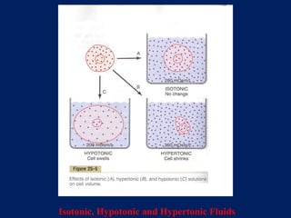 823963 body-fluids | PPT