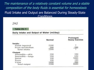 823963 body-fluids | PPT