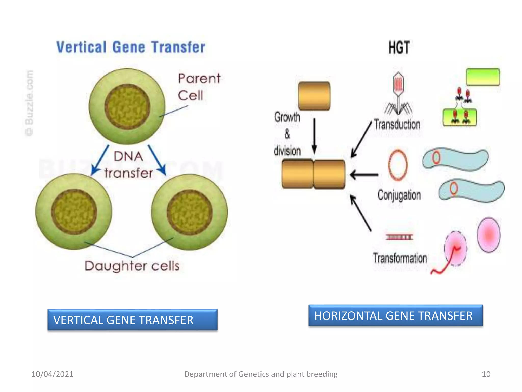 Genetic pollution | PPTX