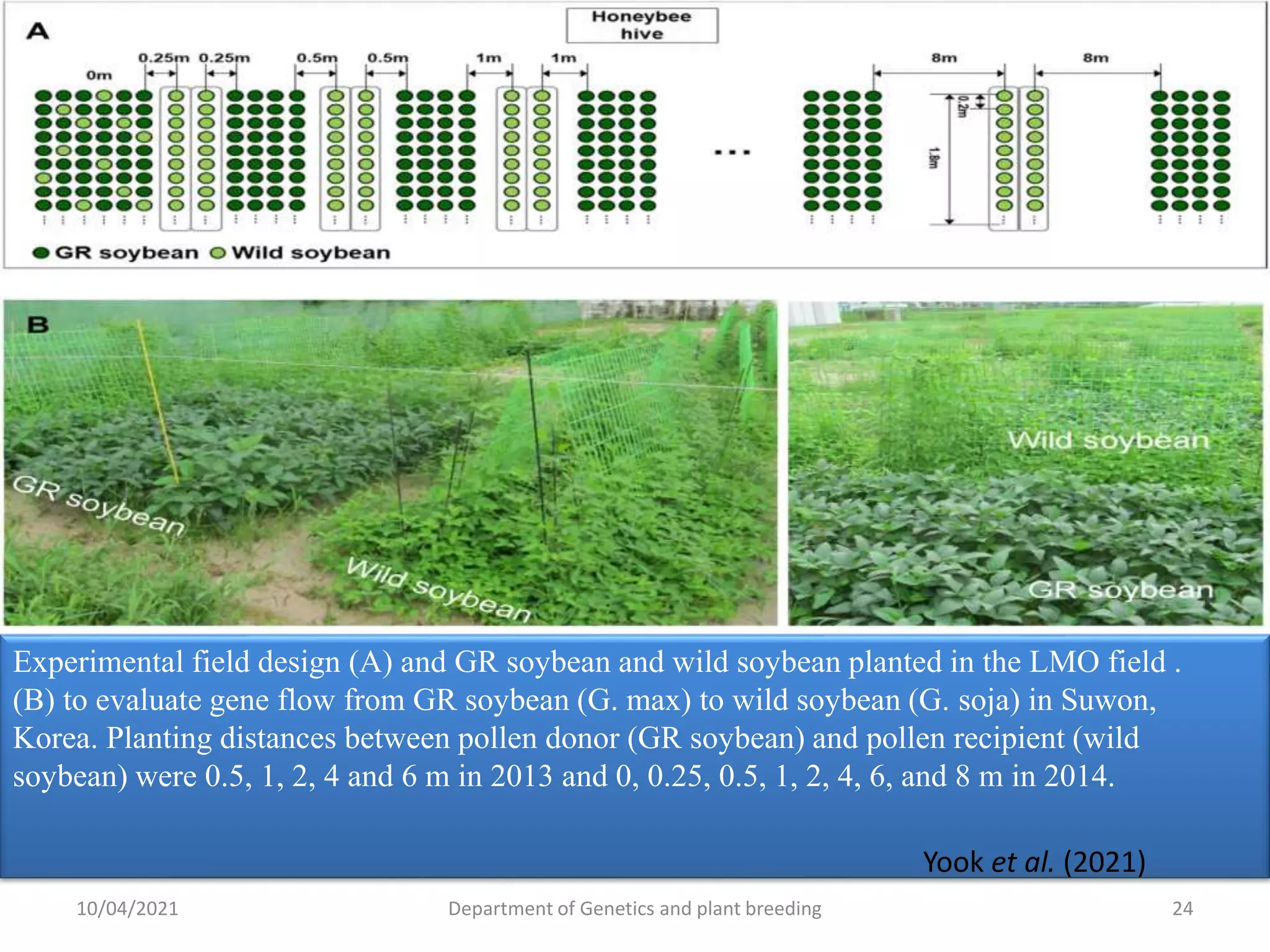 Genetic pollution | PPTX