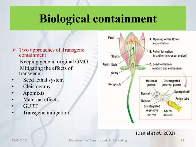 Genetic pollution | PPTX