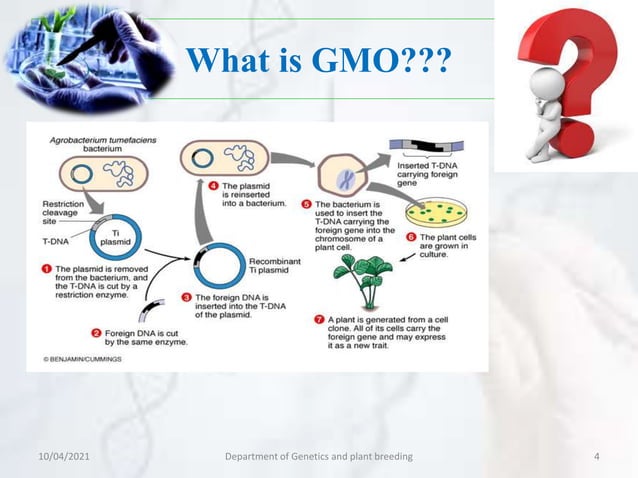 Genetic pollution | PPTX