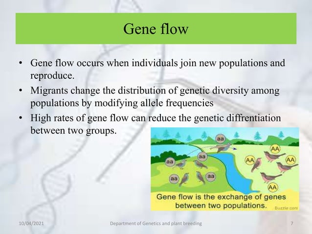Genetic pollution | PPTX