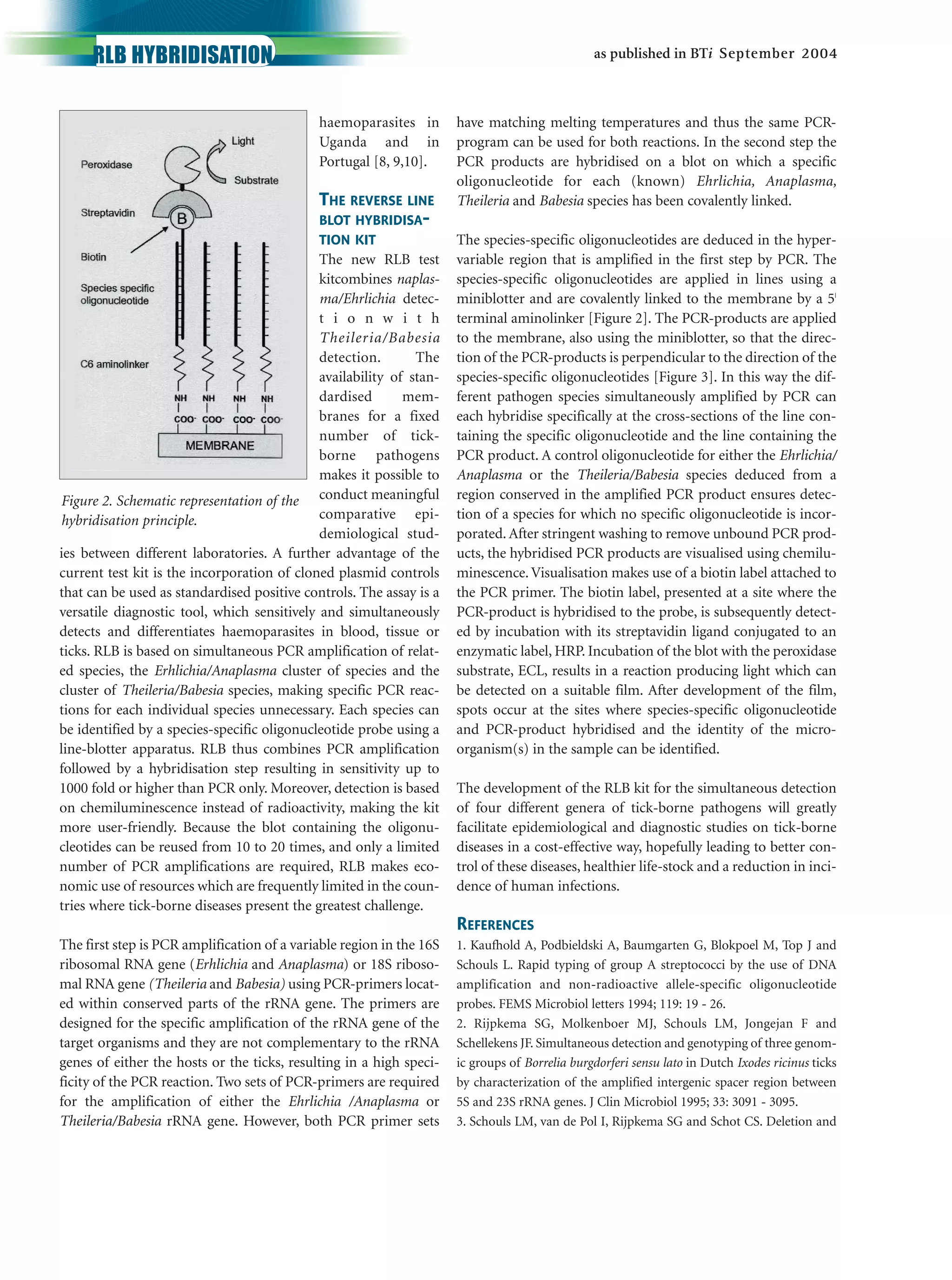 reverse-line-blot-hybridisation-in-the-detection-of-tick-borne-diseases ...