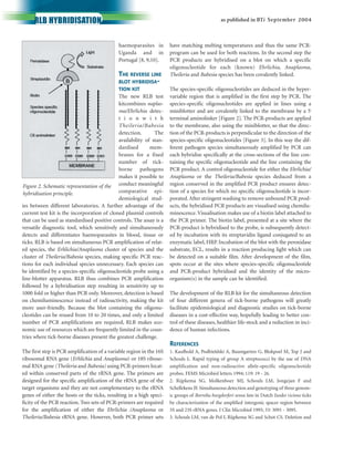 reverse-line-blot-hybridisation-in-the-detection-of-tick-borne-diseases ...