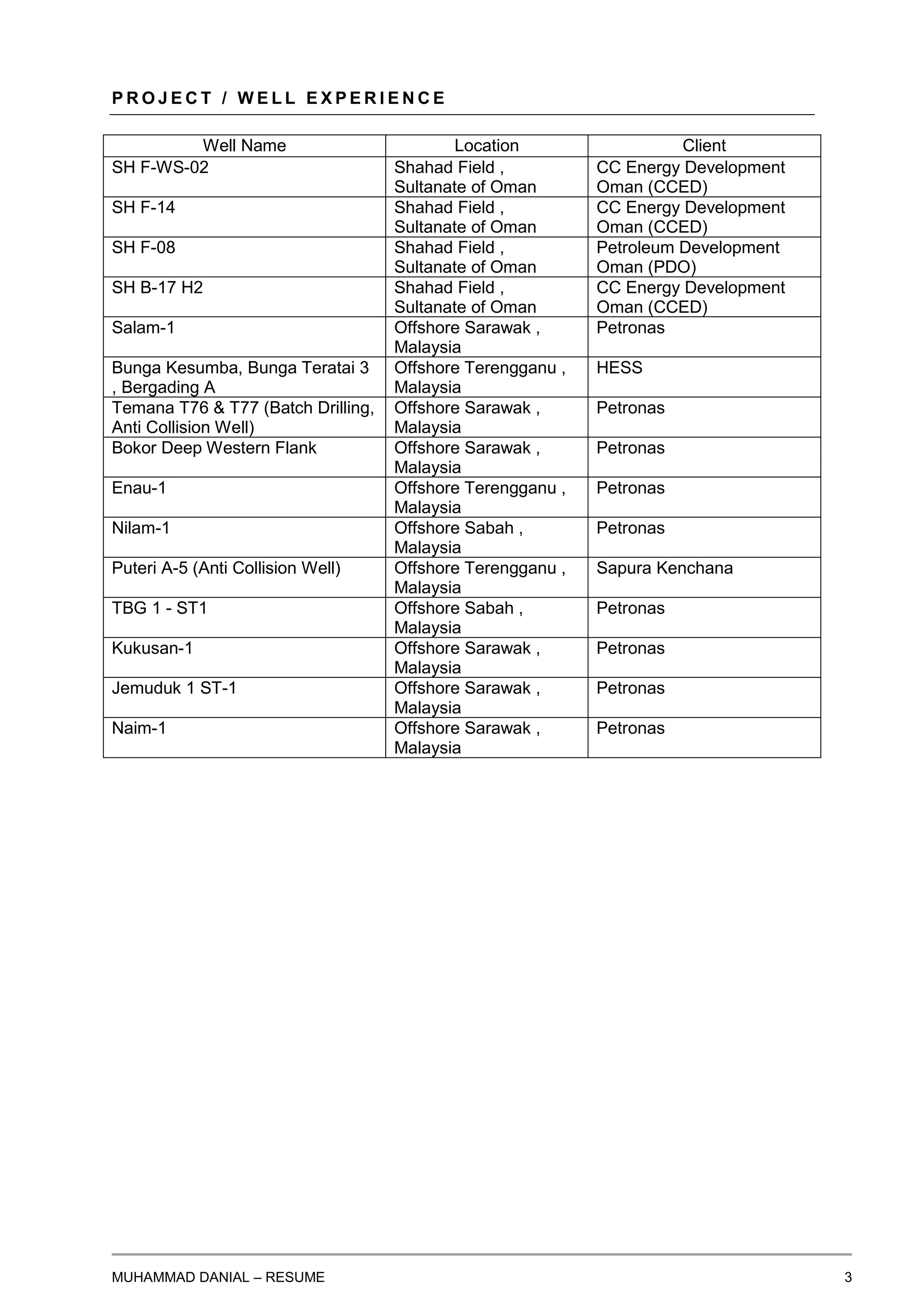 Muhammad Danial CV | PDF