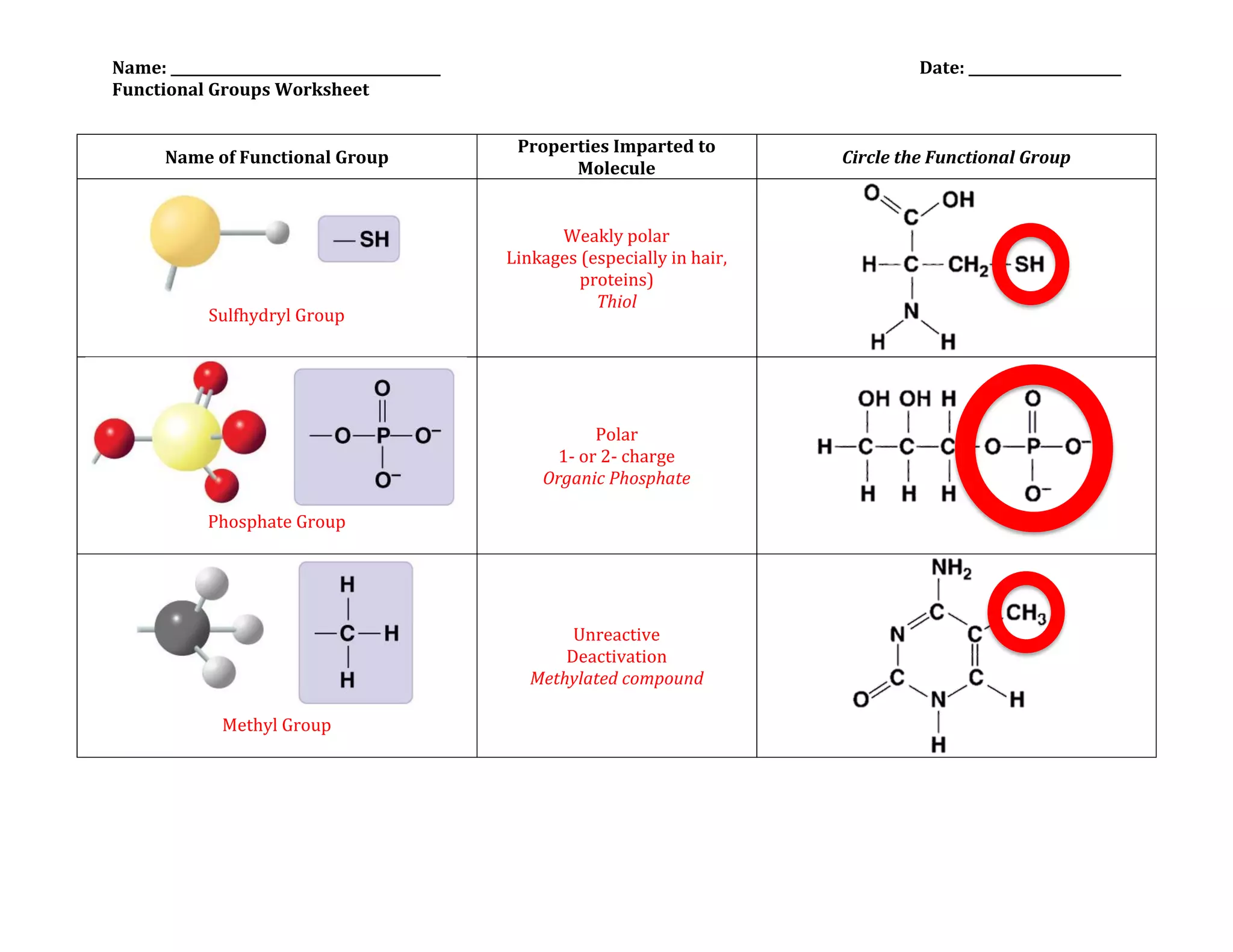 functional group worksheet | PDF
