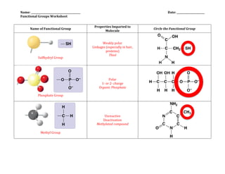 functional group worksheet | PDF