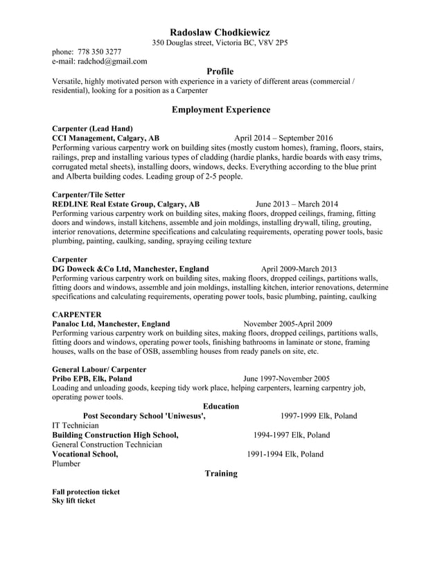 Radek resume | PDF