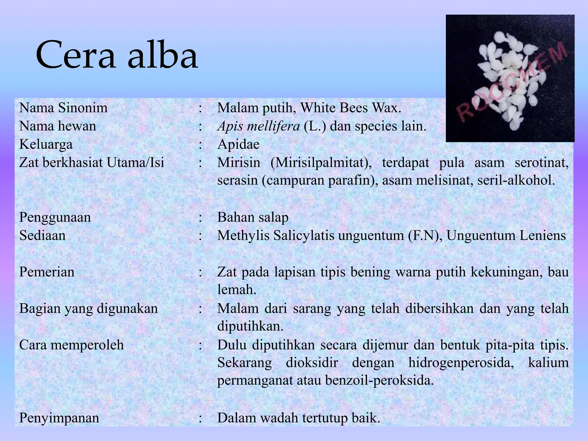 Ppt simplisia hewani power point 123445677 | PPT