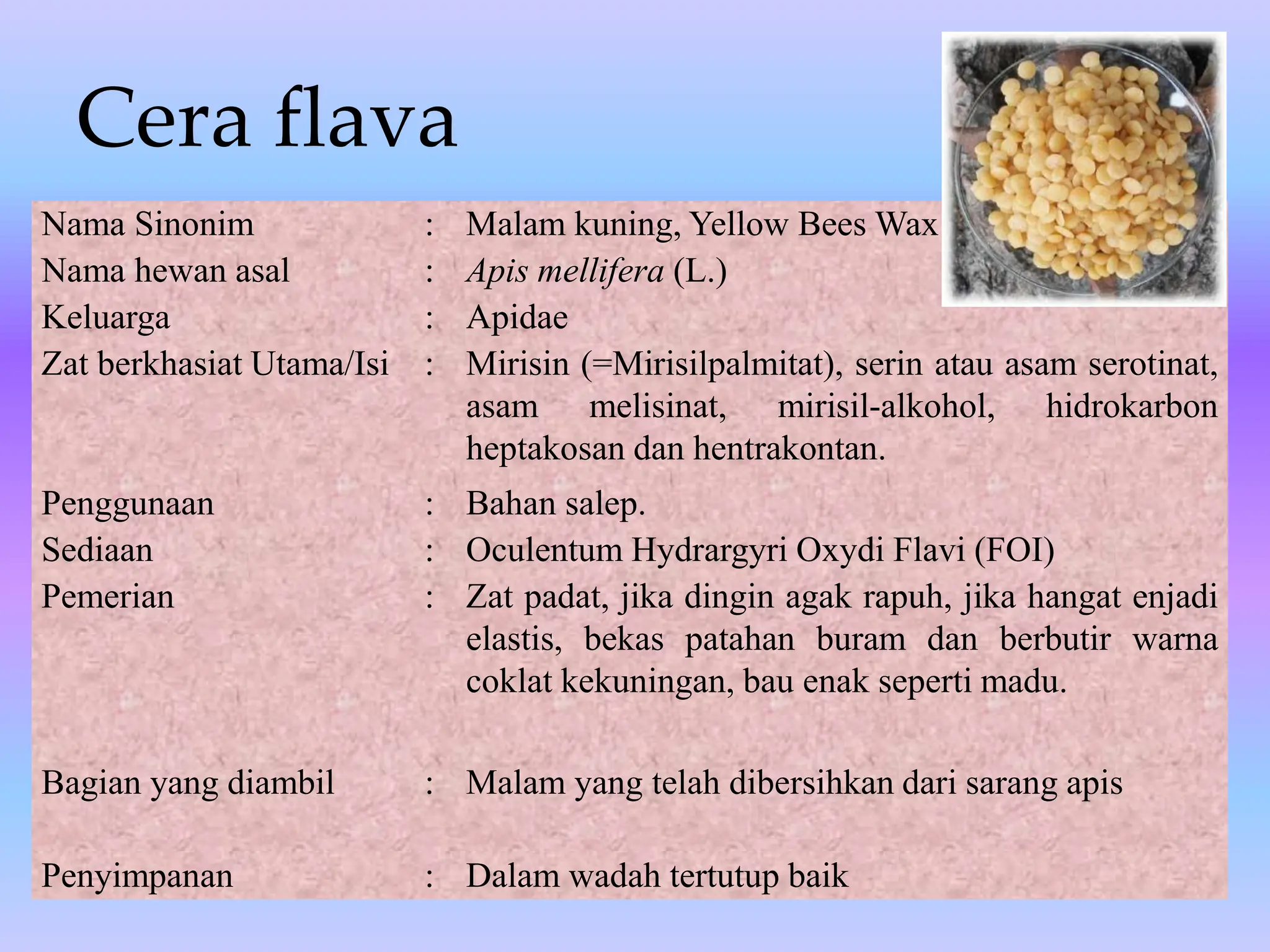 Ppt simplisia hewani power point 123445677 | PPT