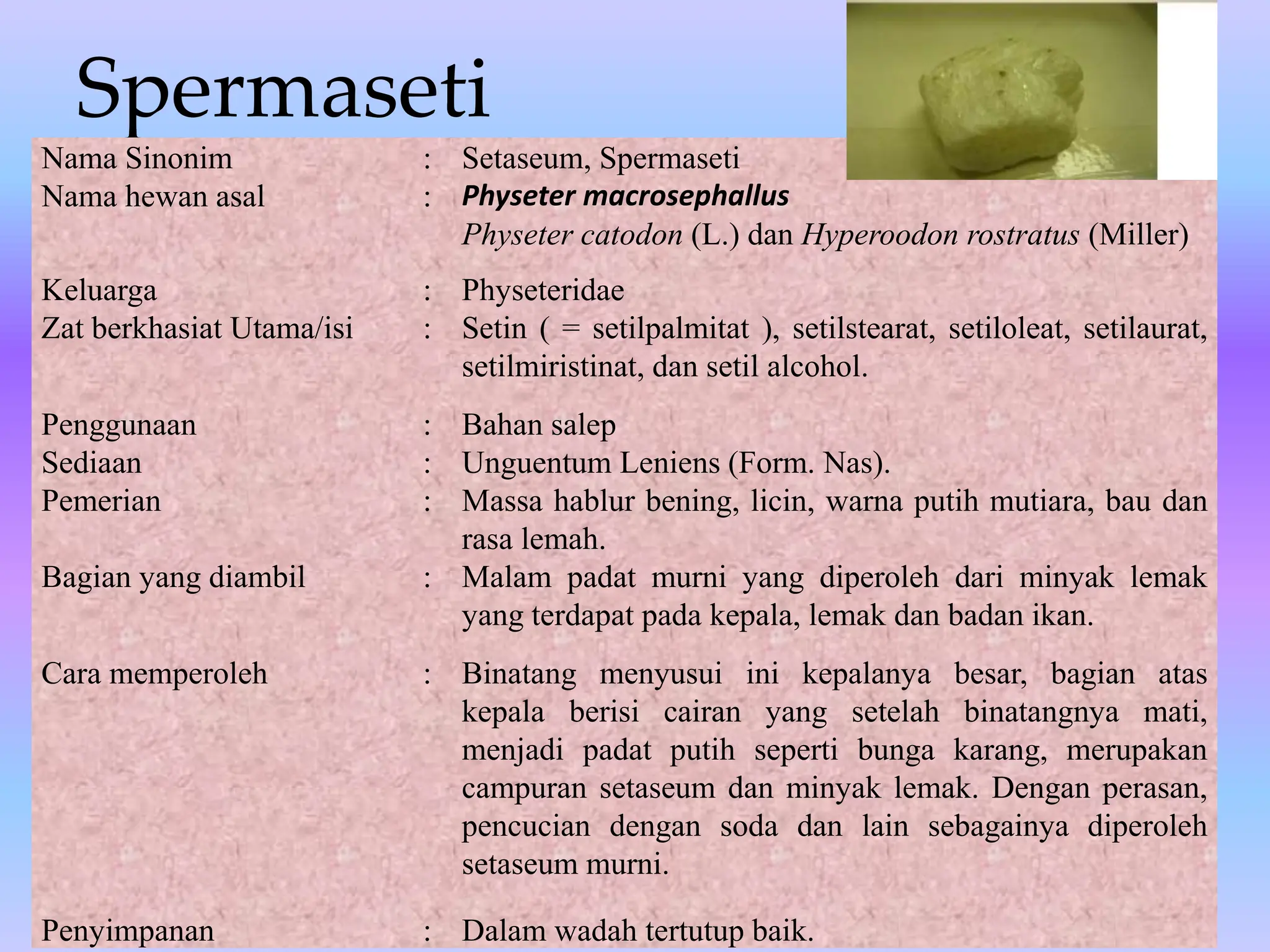 Ppt simplisia hewani power point 123445677 | PPT