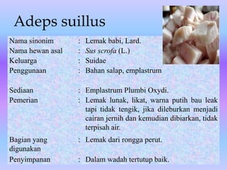 Ppt simplisia hewani power point 123445677 | PPT