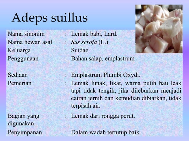 Ppt simplisia hewani power point 123445677 | PPT