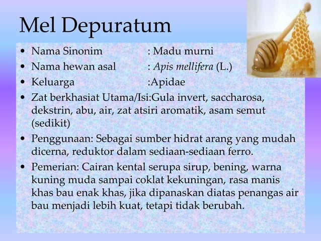 Ppt simplisia hewani power point 123445677 | PPT