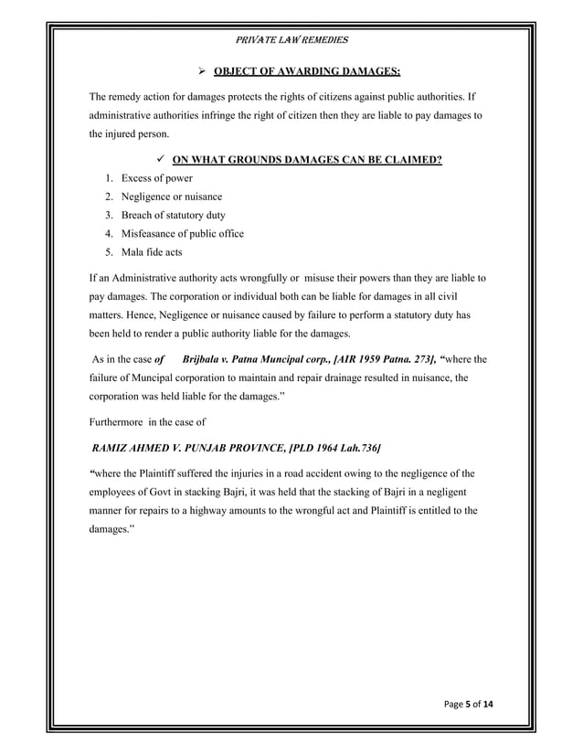 Brief Private Law Remedies in Administrative Law | PDF