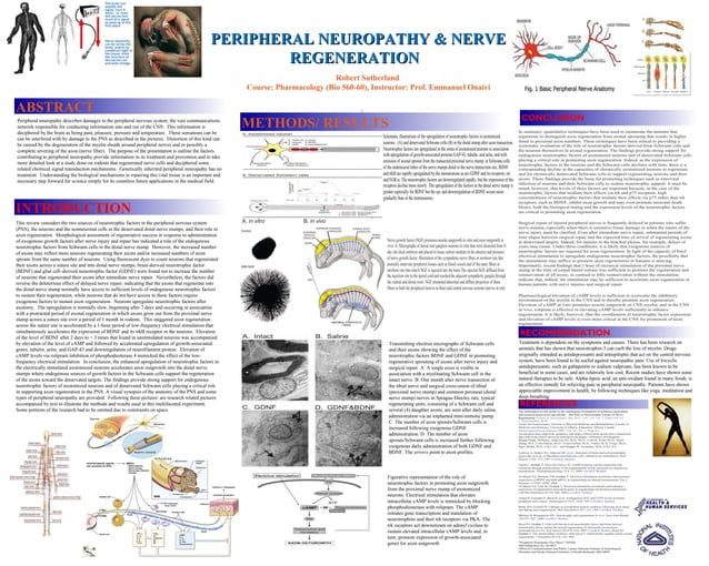 Poster Template PHARM PERIPHERAL NEUROPATHY | PPT