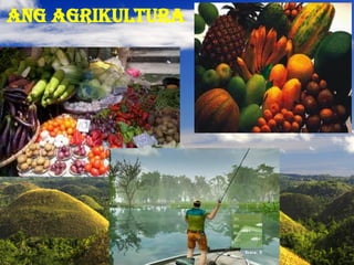 8294747277-Ang-Sektor-Ng-Agrikultura.pptx