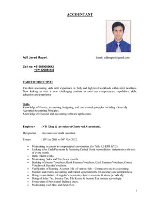 Adil Resume | DOCX | Business Accounting & Finance | Business