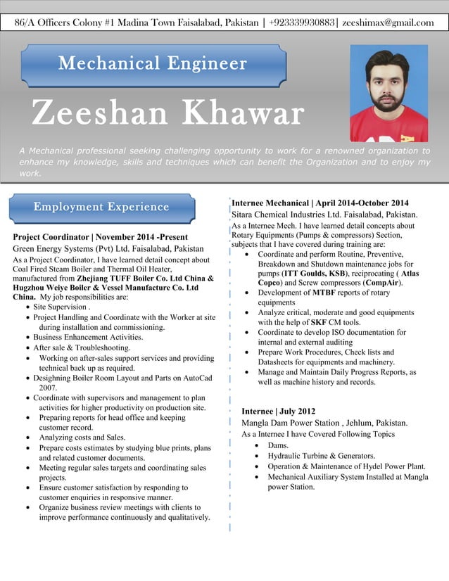 zeeshan CV 3 | PDF