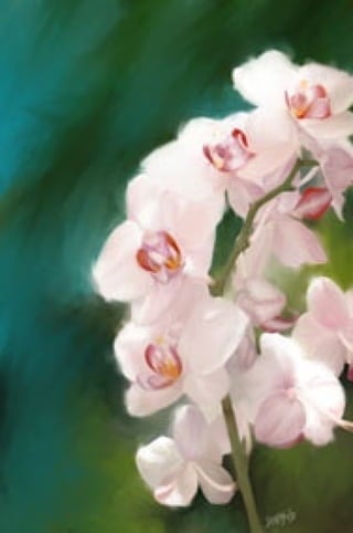 sangaji 2002-2010 illustrations | PDF