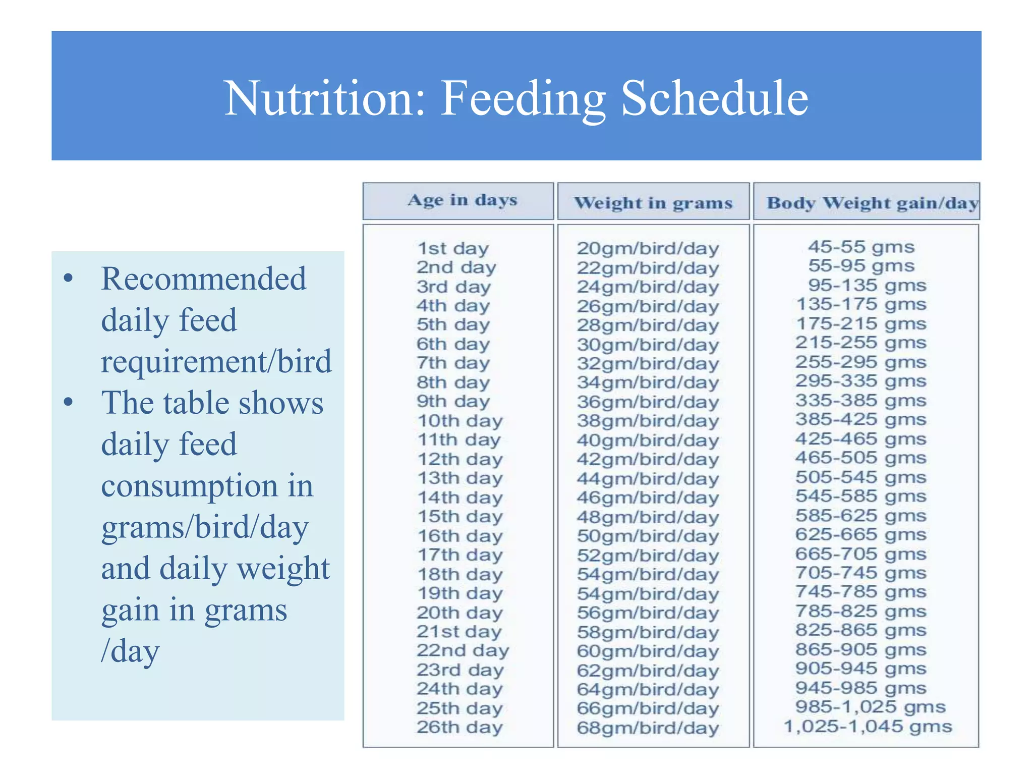 BROILER MANAGEMENT | PPTX