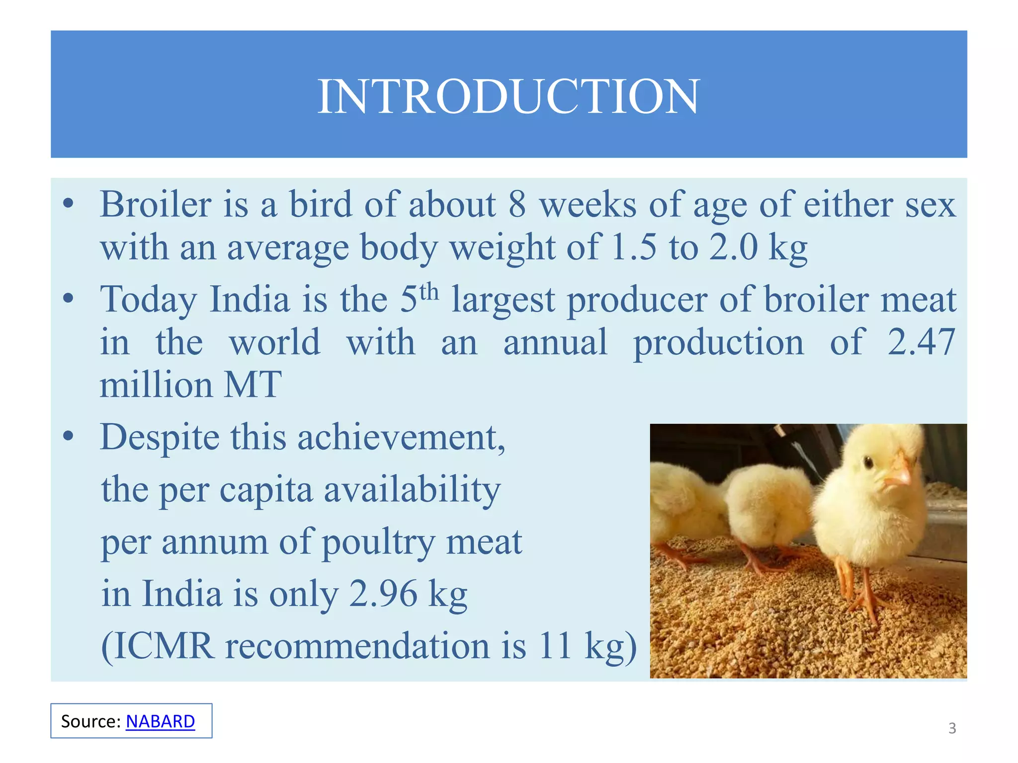 BROILER MANAGEMENT | PPTX
