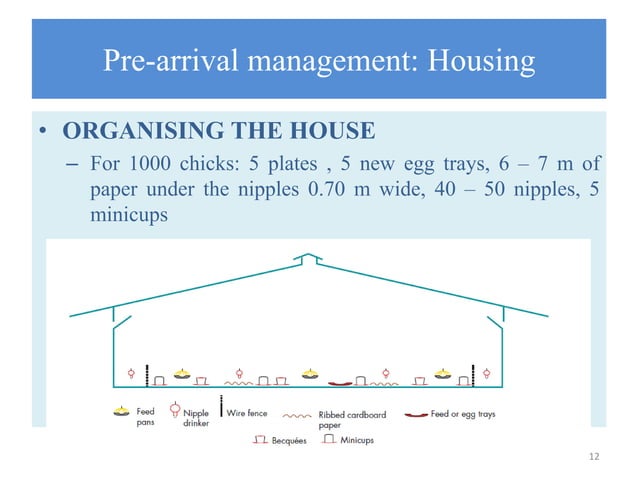 BROILER MANAGEMENT | PPTX
