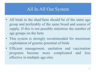 BROILER MANAGEMENT | PPTX