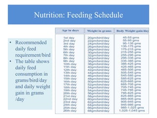 BROILER MANAGEMENT | PPTX