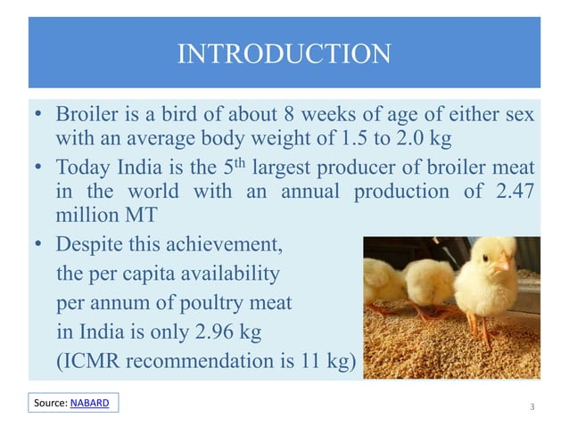 BROILER MANAGEMENT | PPTX