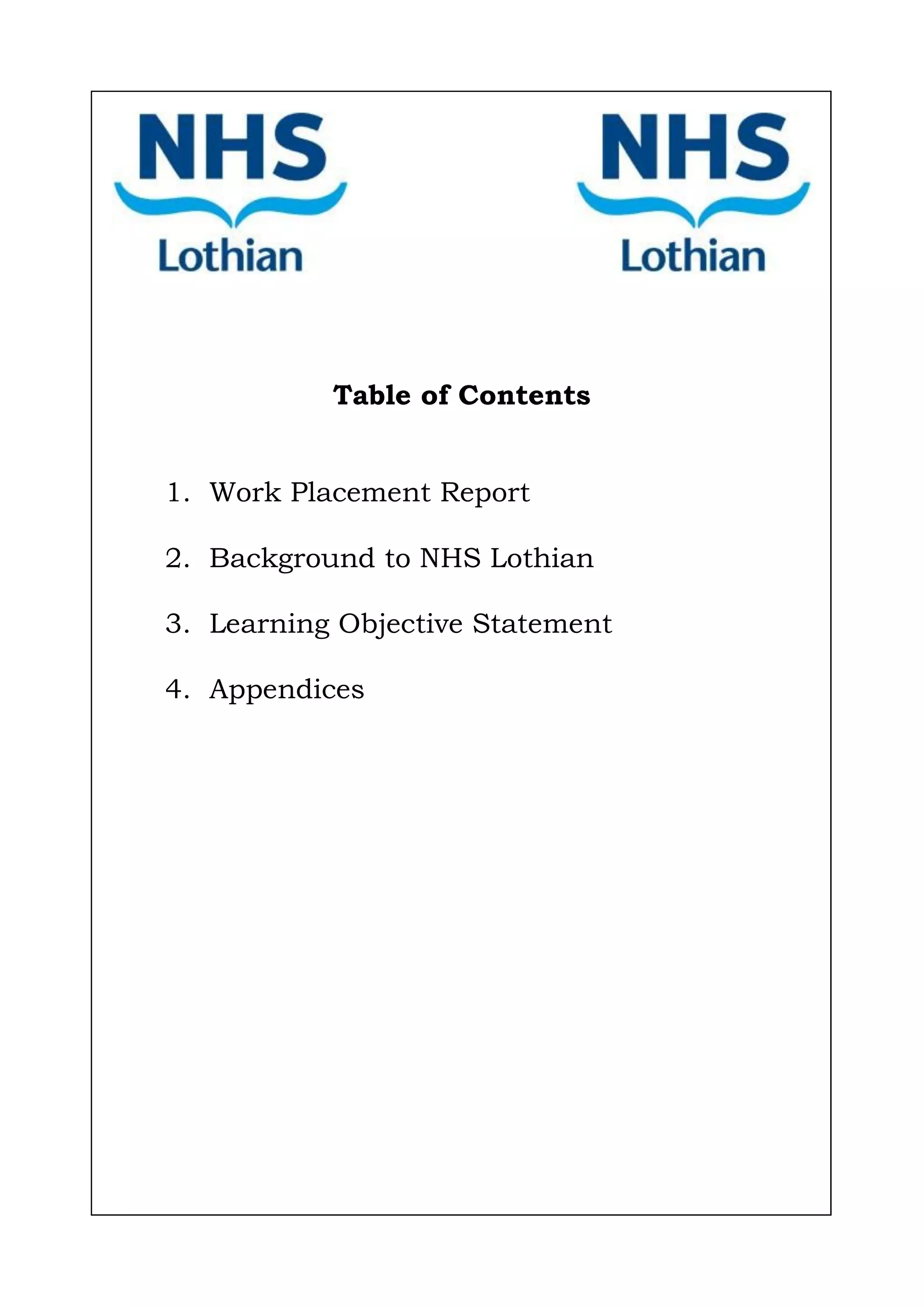 Work Placement Portfolio | PDF