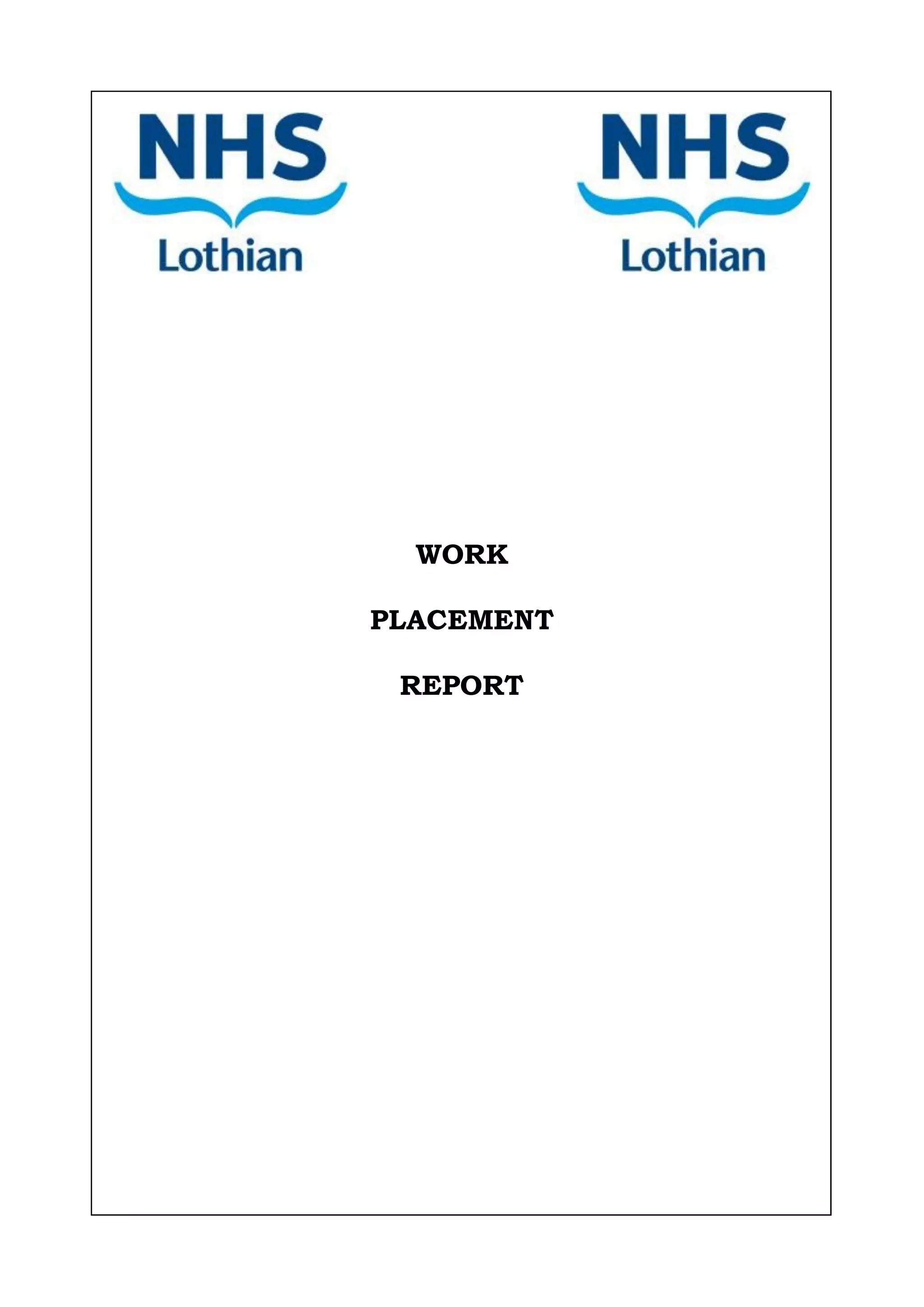Work Placement Portfolio | PDF