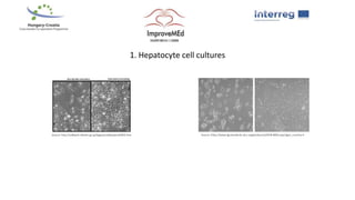 In vitro models of hepatotoxicity | PPTX