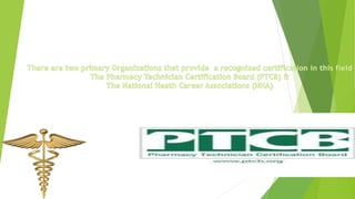 My Future Career | PPTX