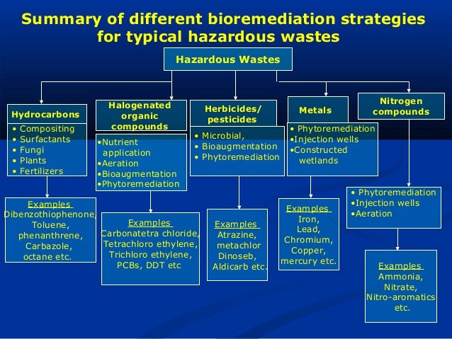 82 hazardous waste management