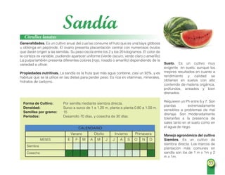 MANUAL PARA EL CULTIVO DE HORTALIZAS | PDF