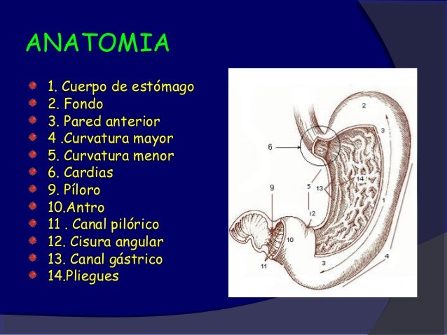 Gastrectomía laparoscópica - CICAT-SALUD