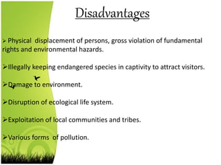 Copy-Eco-Tourism-Ppt.pptx