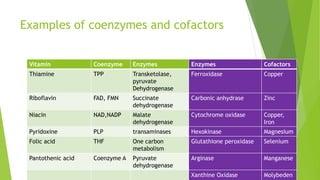 832_Enzymes_Introduction_and_Mechanism.pdf