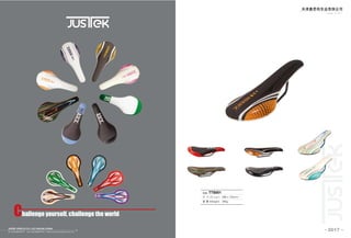 JUSTEK Products-2017 | PDF