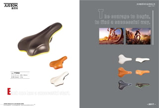 JUSTEK Products-2017 | PDF