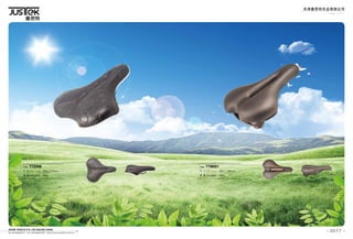 JUSTEK Products-2017 | PDF