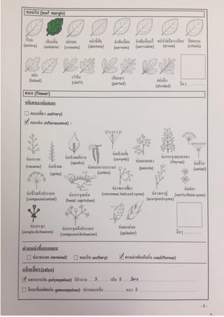 834 report7 | PDF | Free Download