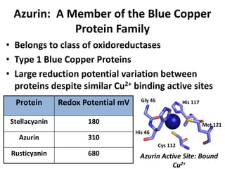 Christine Meyer Senior Seminar Presentation | PPTX