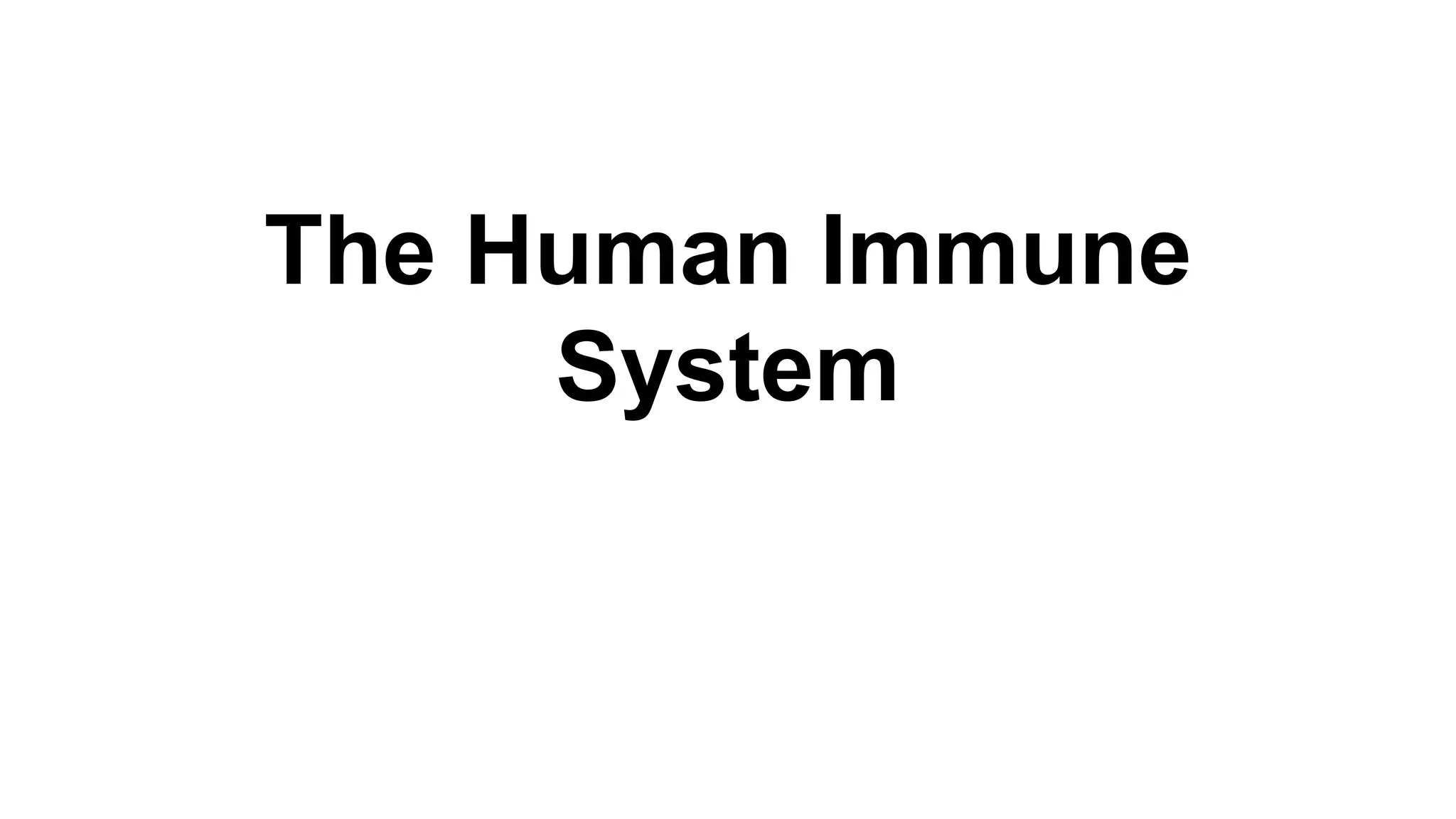 The Human Immune System Ppt
