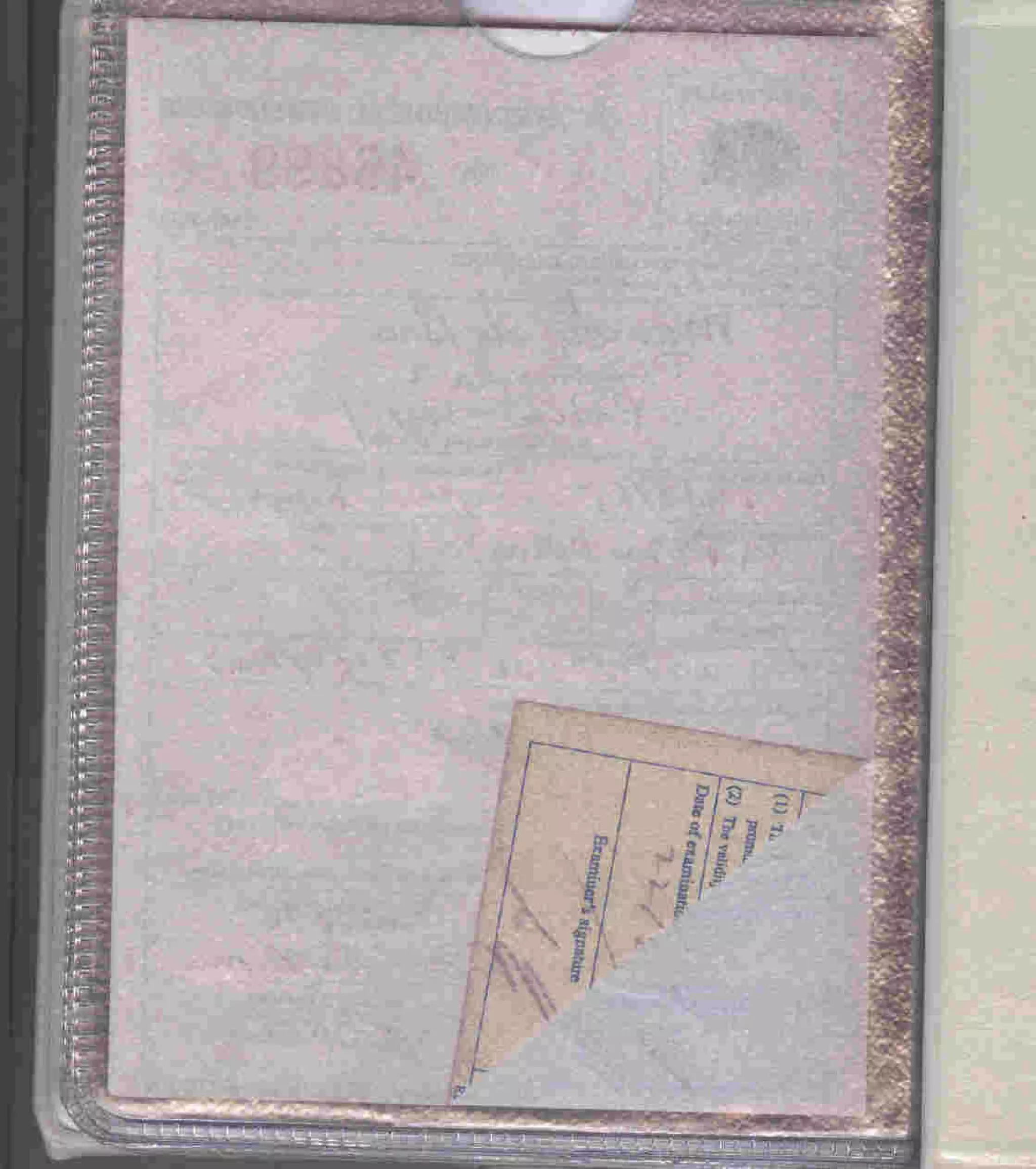 060627 CAA Licence | PDF