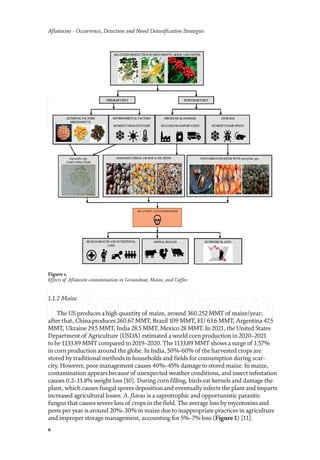 Aflatoxins: A Postharvest Associated Challenge and Mitigation Opportunities | PDF | Chemistry ...